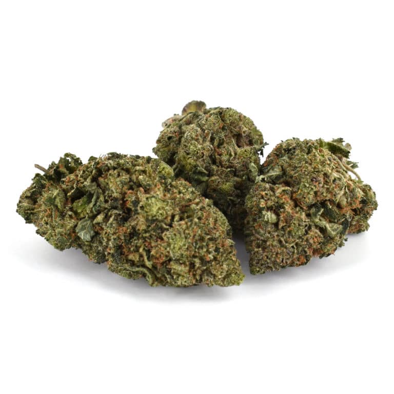 Buy Bulk Weed Online in 1/4lb, 1/2lb and 1lb - BC Bud Supply