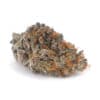 Colour of Space (AAAA) - BC Bud Supply