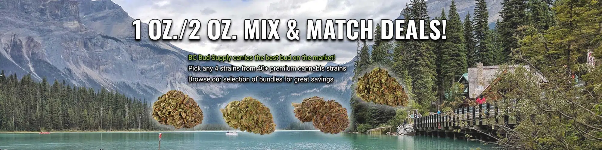 BC Bud Supply | $15 For Each Referral | 2 Ounce On Sale