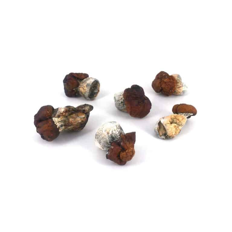 Buy Bulk Weed Online in 1/4lb, 1/2lb and 1lb - BC Bud Supply