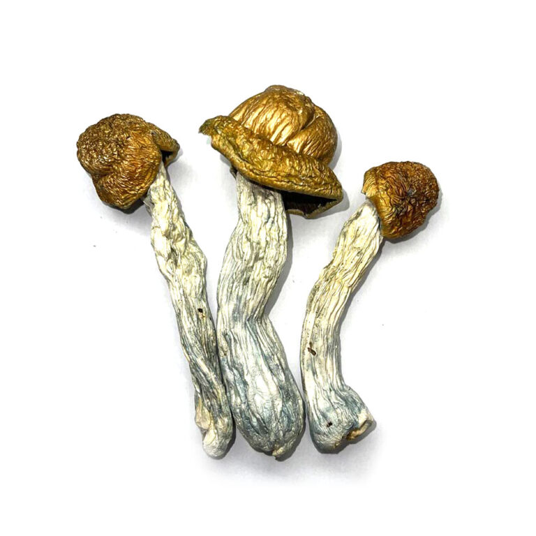 Buy Weed Online - BC Bud Supply - Mail Order Marijuana